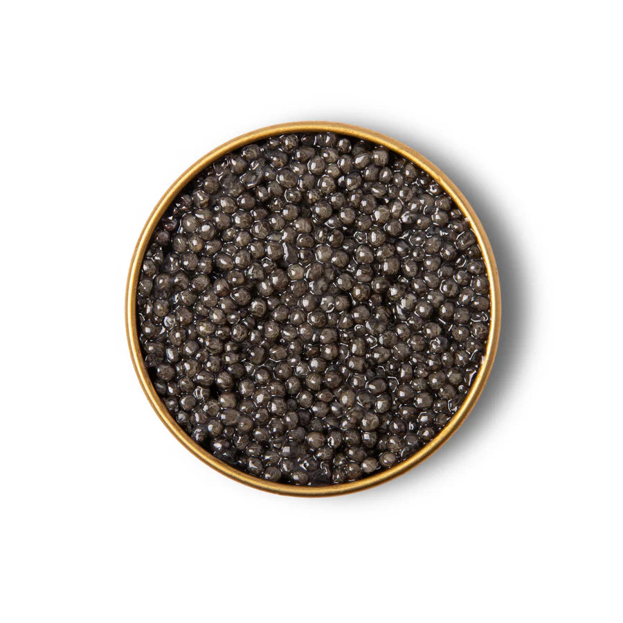 Caviar Royal Iranian Beluga 50 Gr – Carmen
